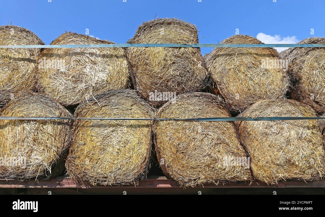 Round Hay Bales Stock Photo - Alamy
