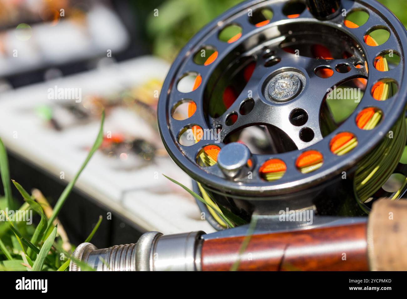 Fly fishing bugs and road with real Stock Photo - Alamy