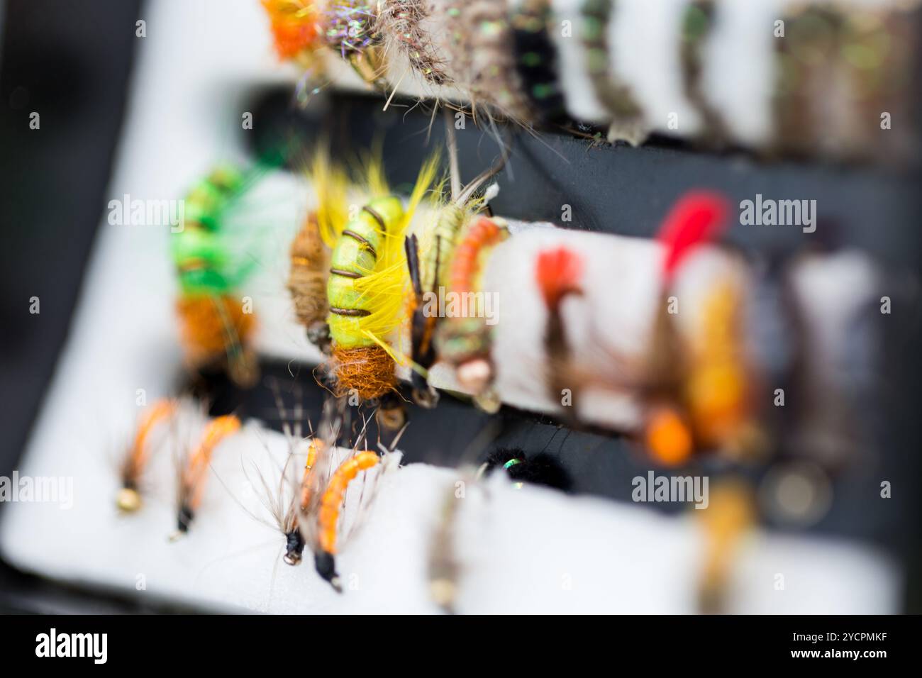 different fly fishing bugs in box on sunlight with selective focus ...