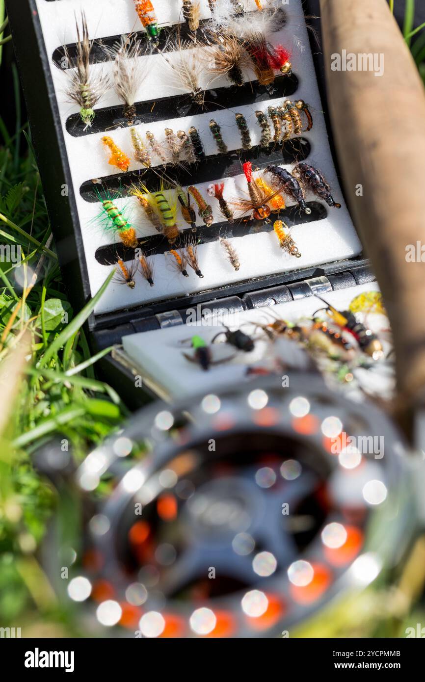 Fly fishing bugs and road with real Stock Photo - Alamy