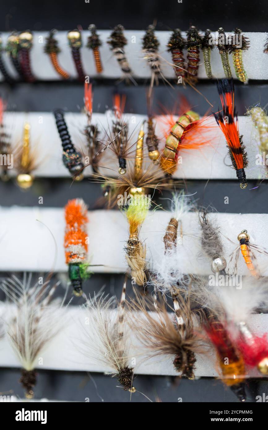 Different fly fishing bugs in box Stock Photo - Alamy