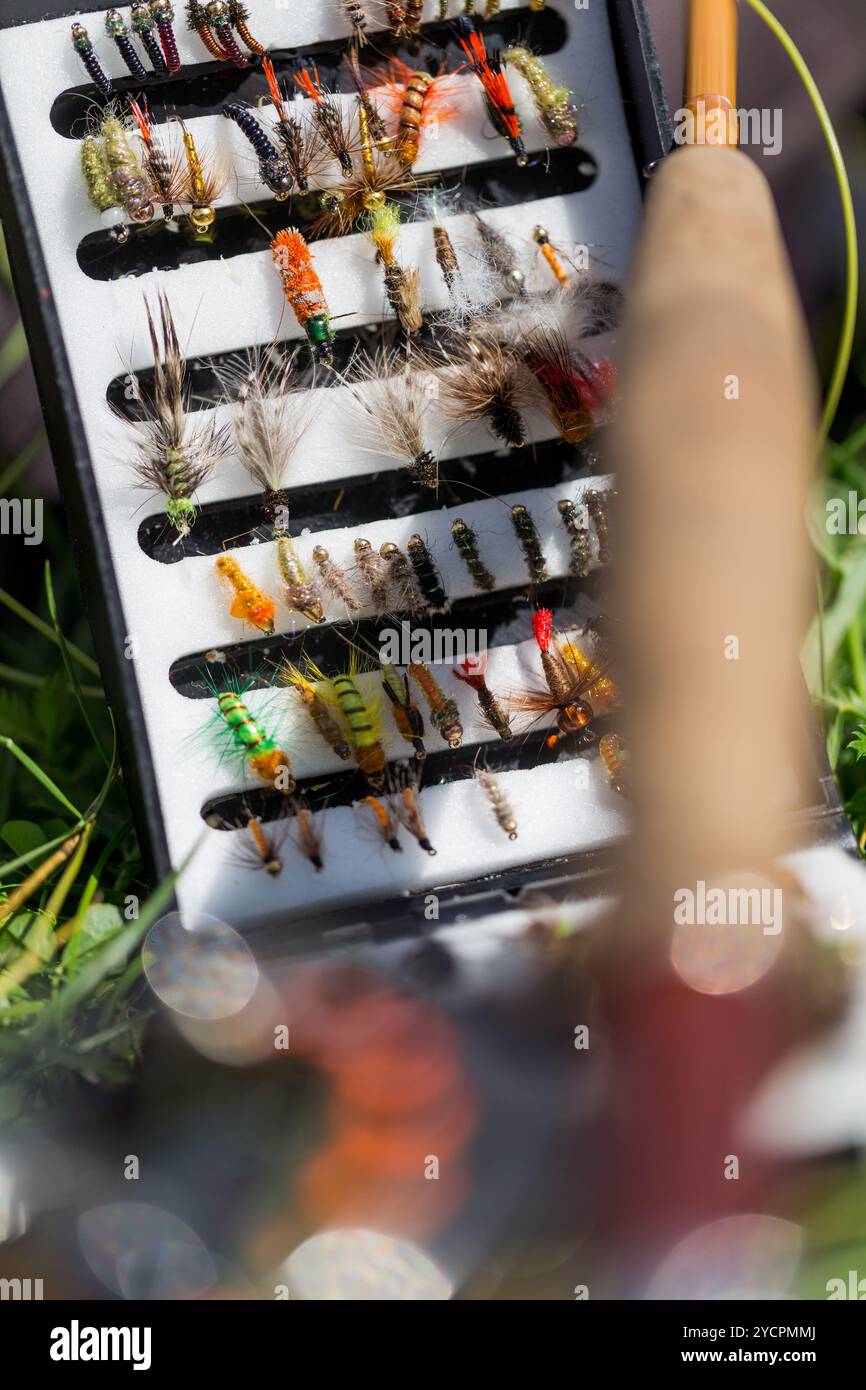 Fly fishing bugs and road with real Stock Photo - Alamy