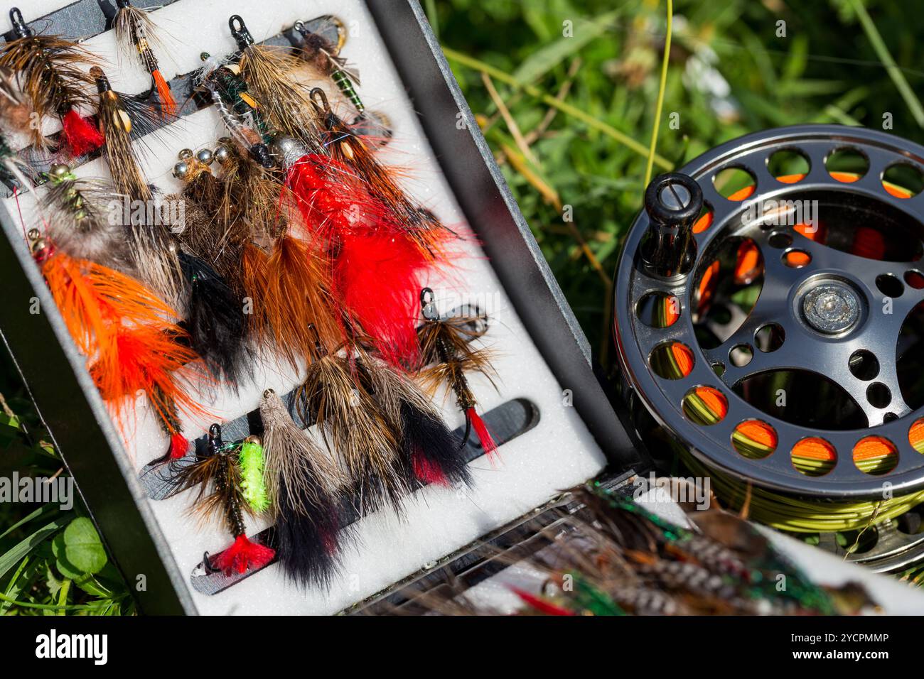 Fly fishing bugs and road with real Stock Photo - Alamy
