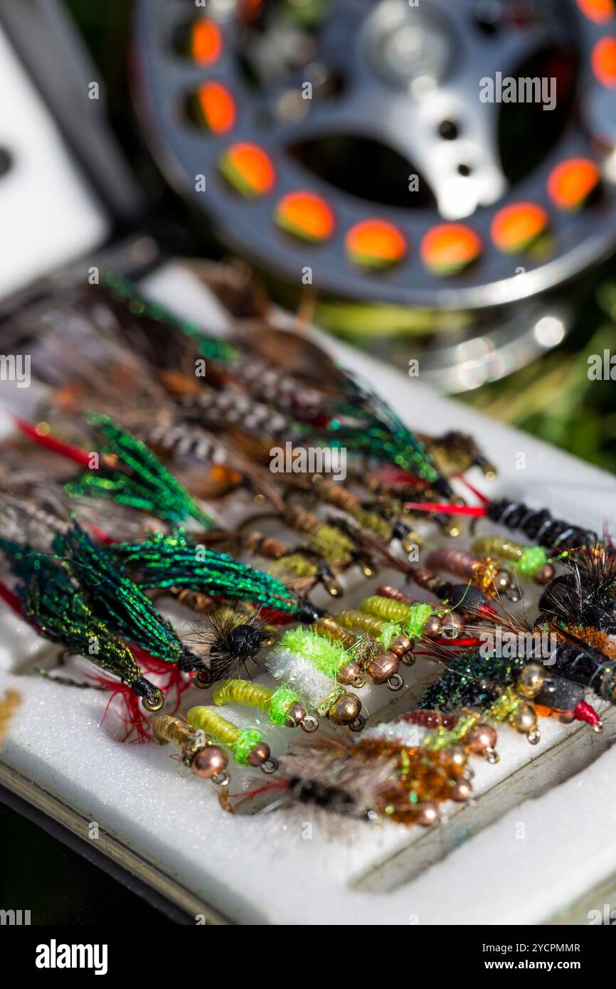 Fly fishing bugs and road with real Stock Photo - Alamy