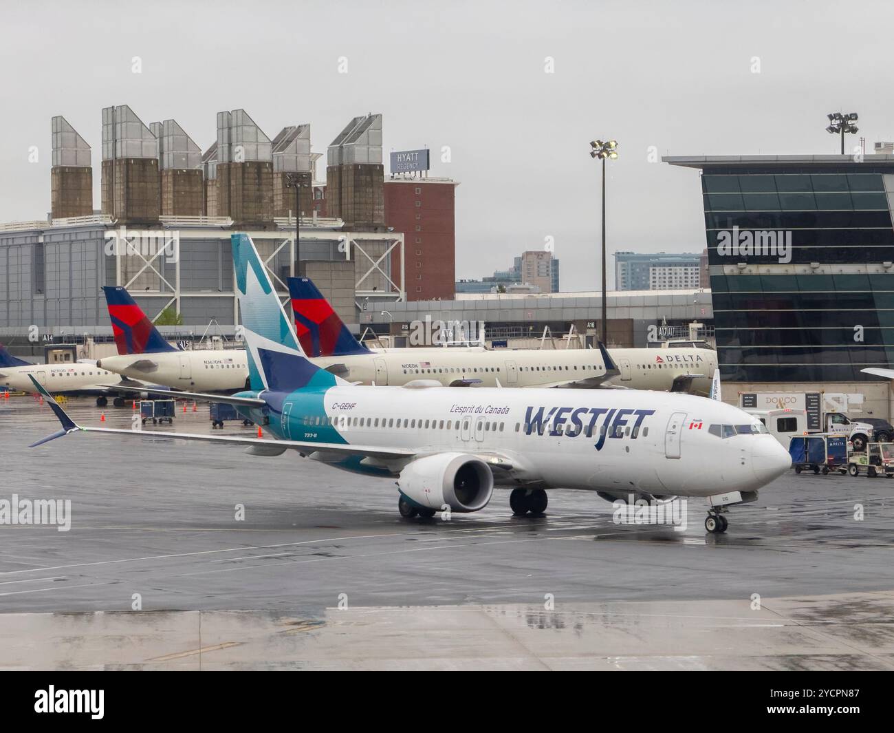 WestJet Boeing 737-8 MAX C-GEHF at Boston Logan International Airport ...