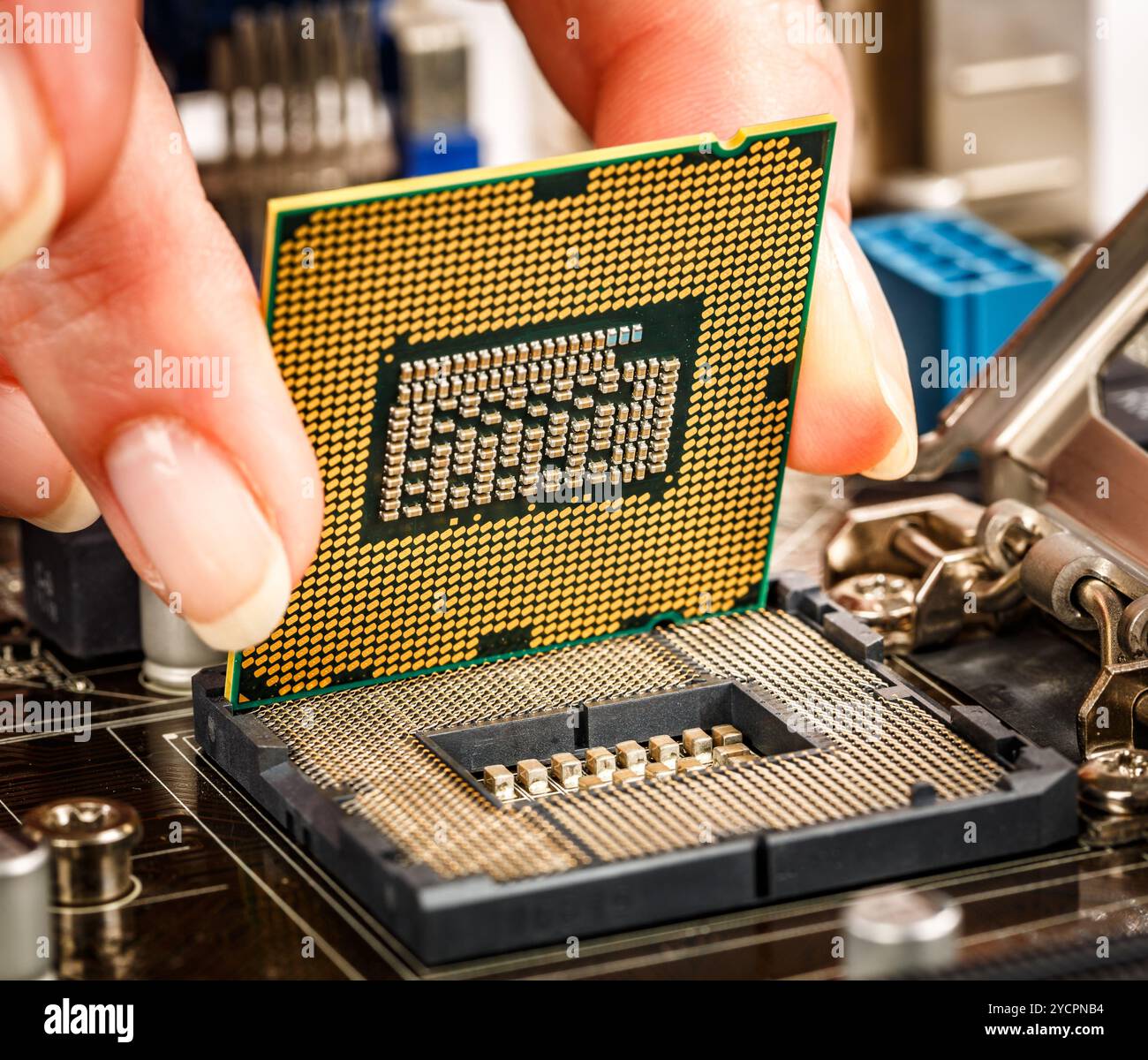 Modern processor and motherboard Stock Photo - Alamy