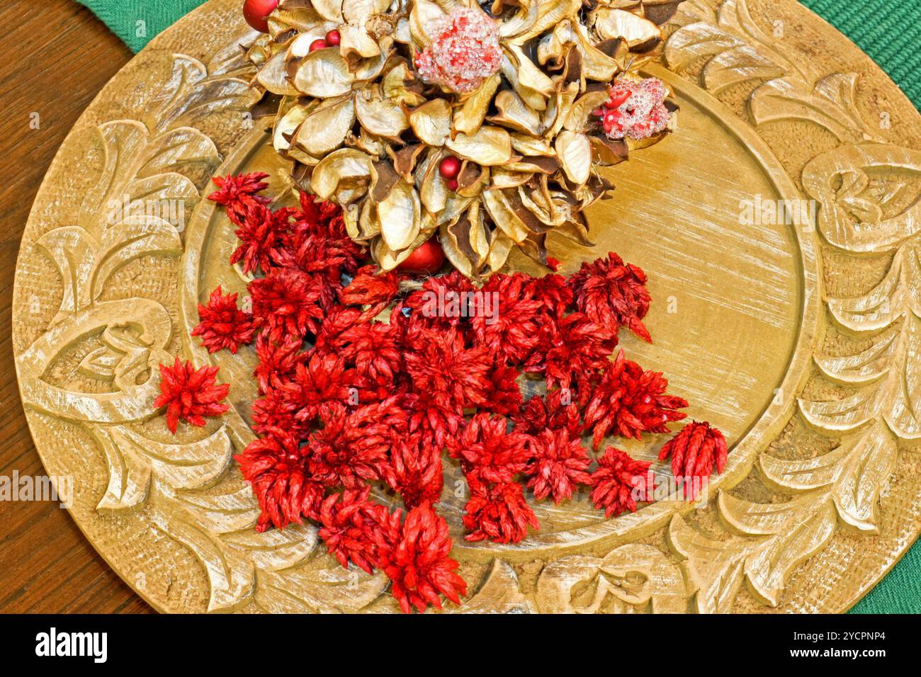 New seed hi-res stock photography and images - Alamy