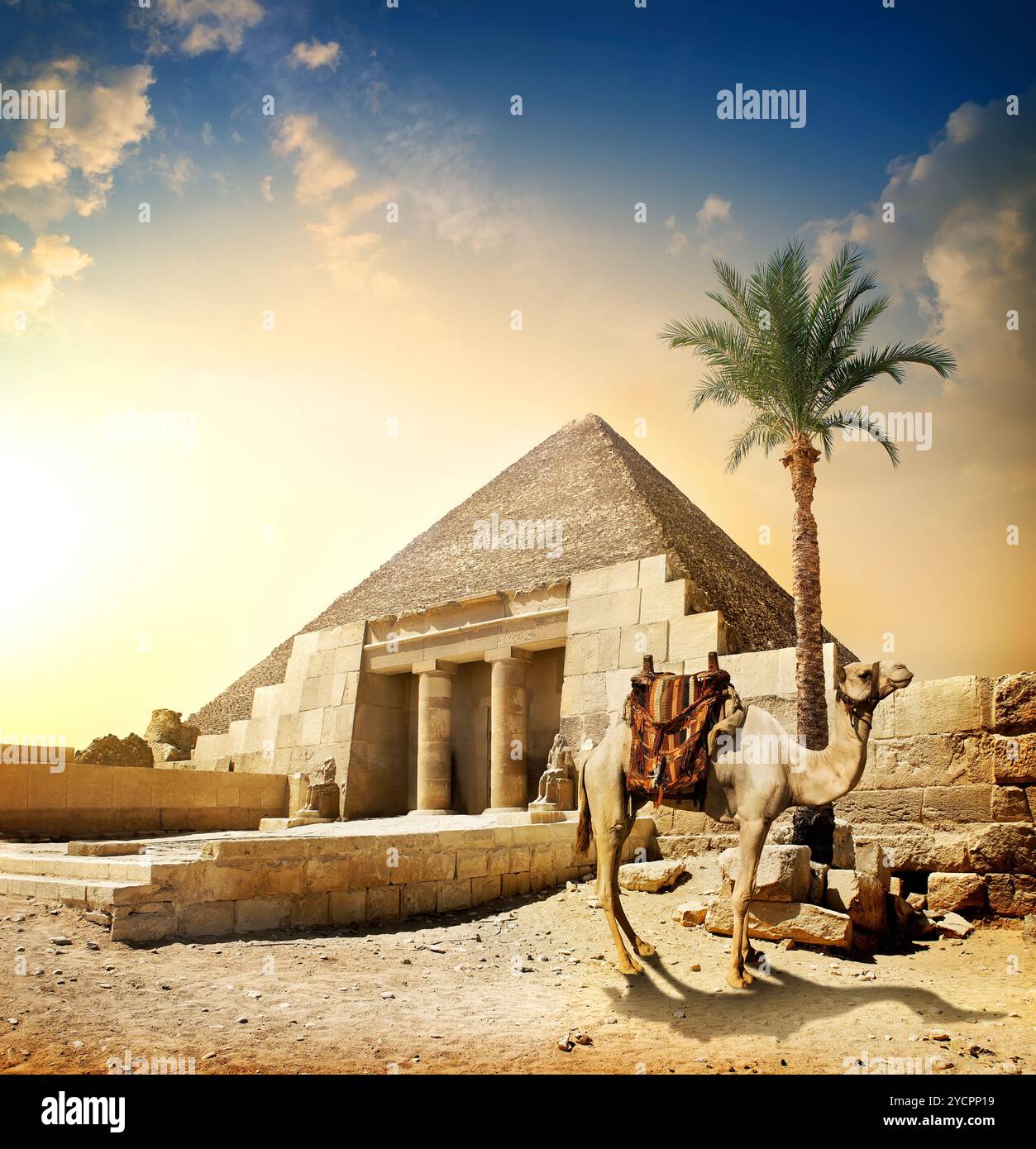 Pyramid camel hi-res stock photography and images - Alamy