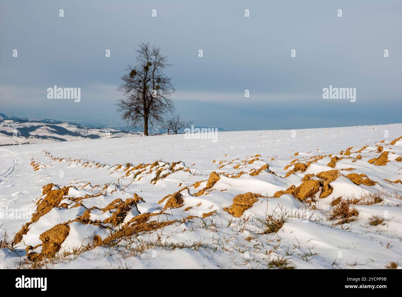 Ice covered terrain hi-res stock photography and images - Alamy