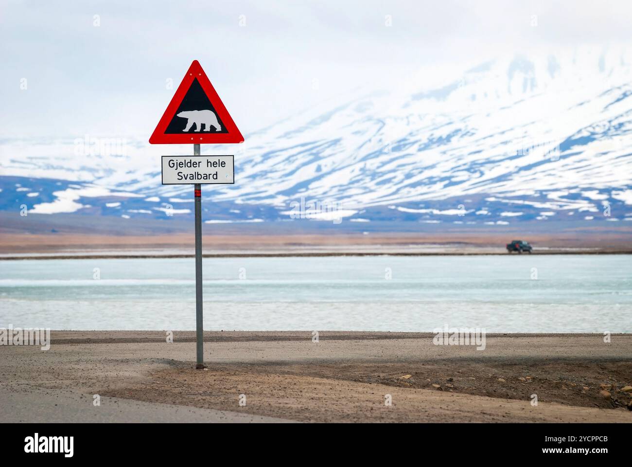 Polar bears svalbard norway hi-res stock photography and images - Alamy