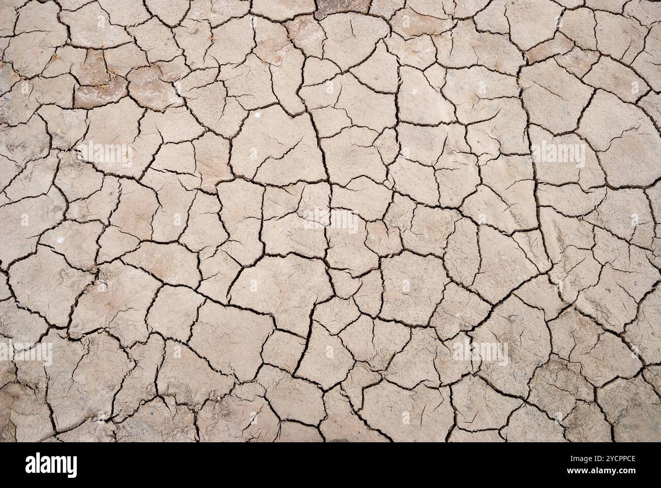 Dry cracked soil texture Stock Photo - Alamy