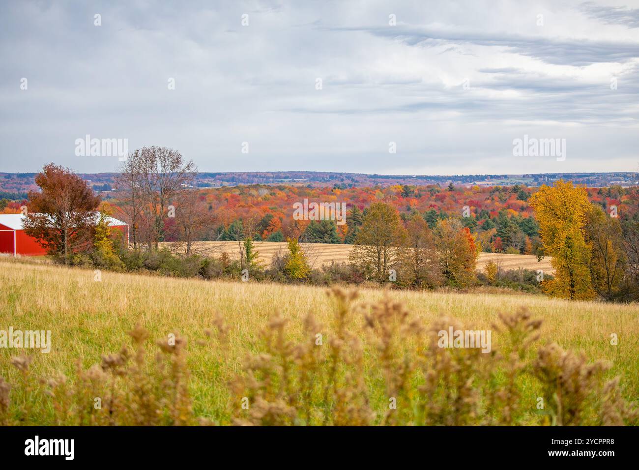 Colorful trees next to Wisconsin farmland with red barn, horizontal ...