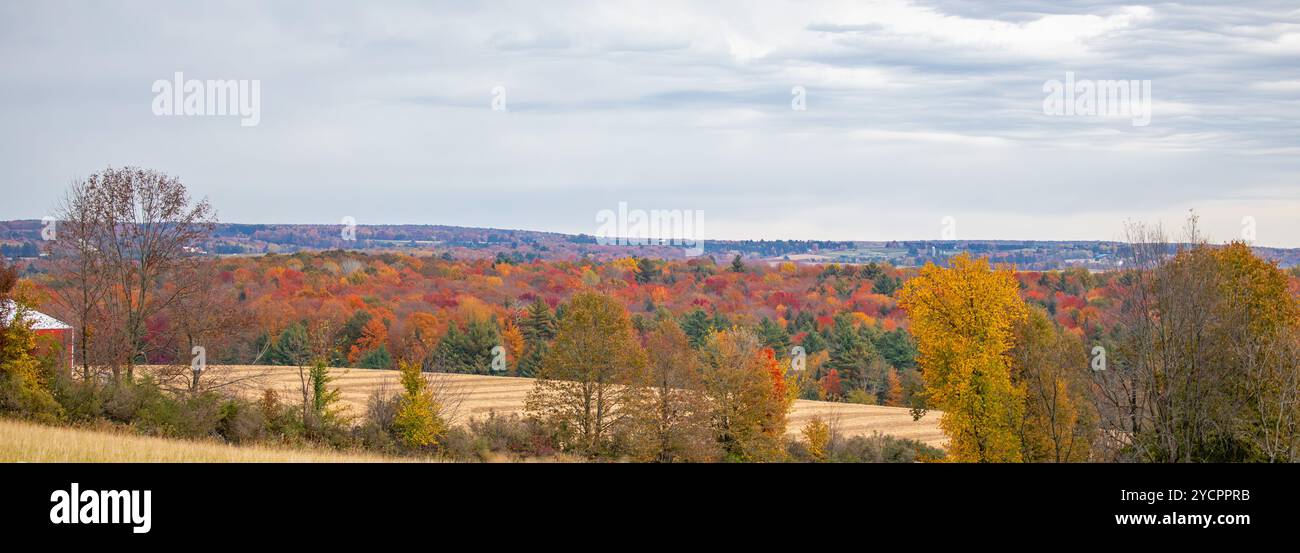 Colorful trees next to Wisconsin farmland with red barn, panorama Stock ...
