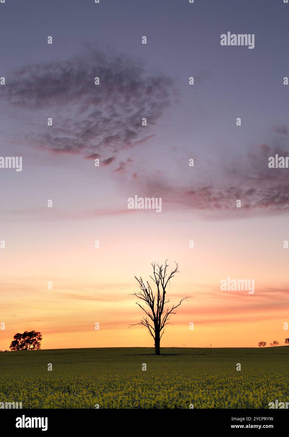 Vivid dawn colours hi-res stock photography and images - Alamy