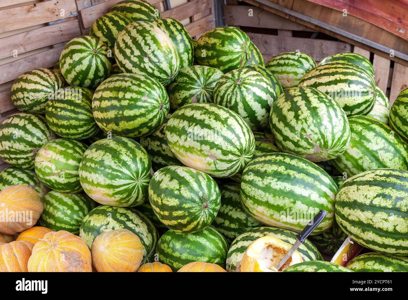 Fresh watermelons for sale at the local farmers market Stock Photo - Alamy