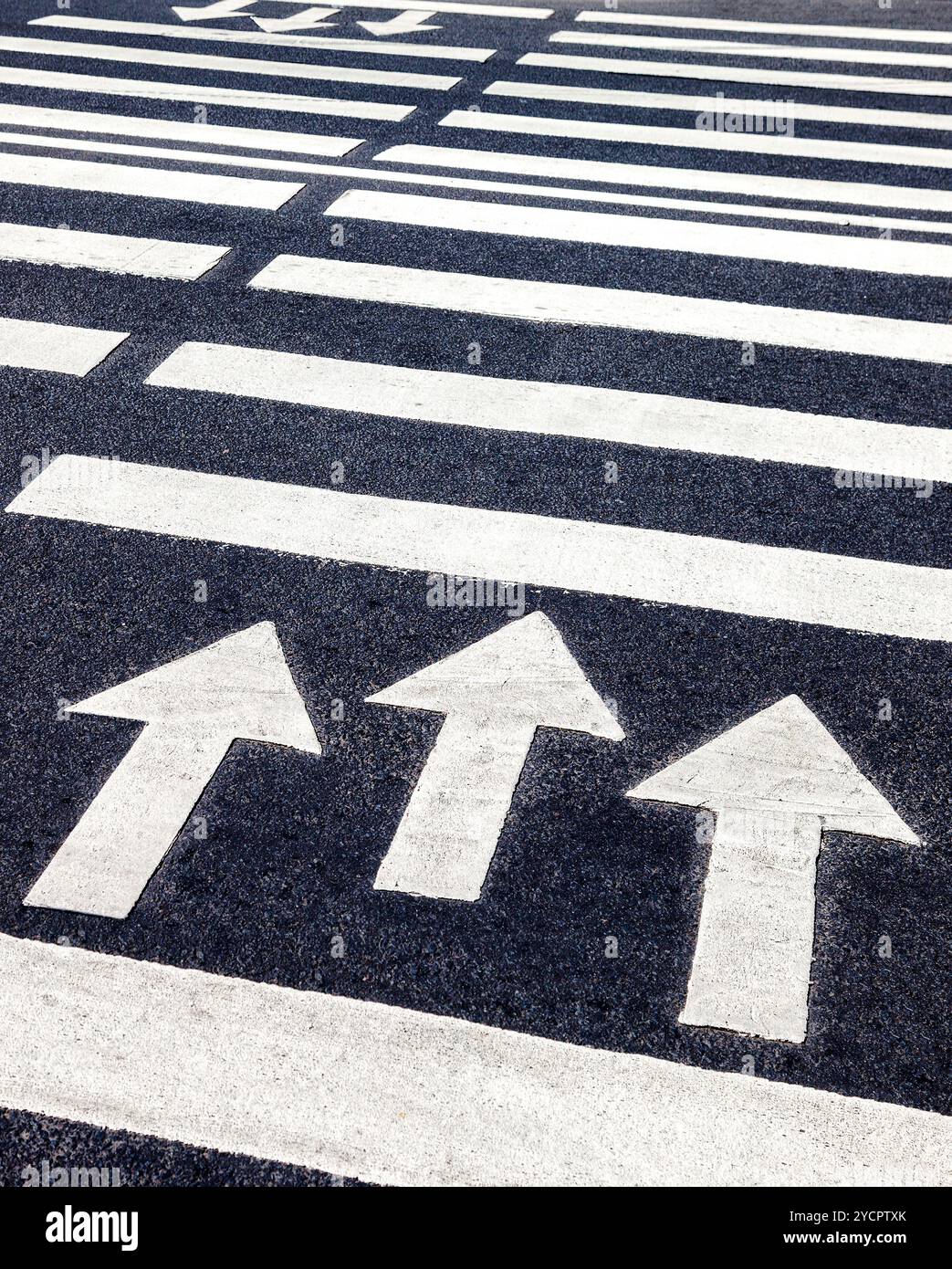 Zebra crossing with white marking lines and direction of motion on ...