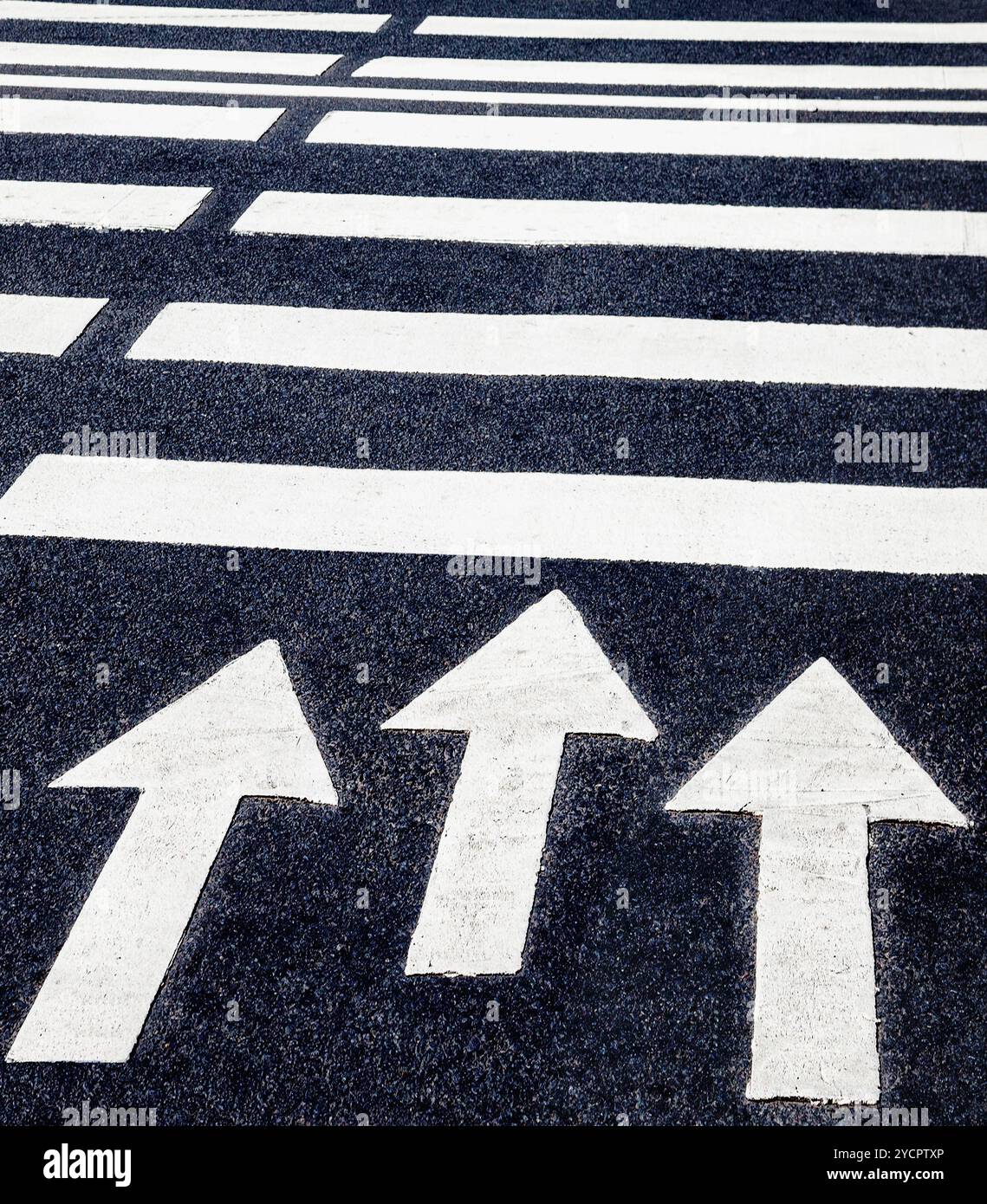 Zebra crossing with white marking lines and direction of motion on ...
