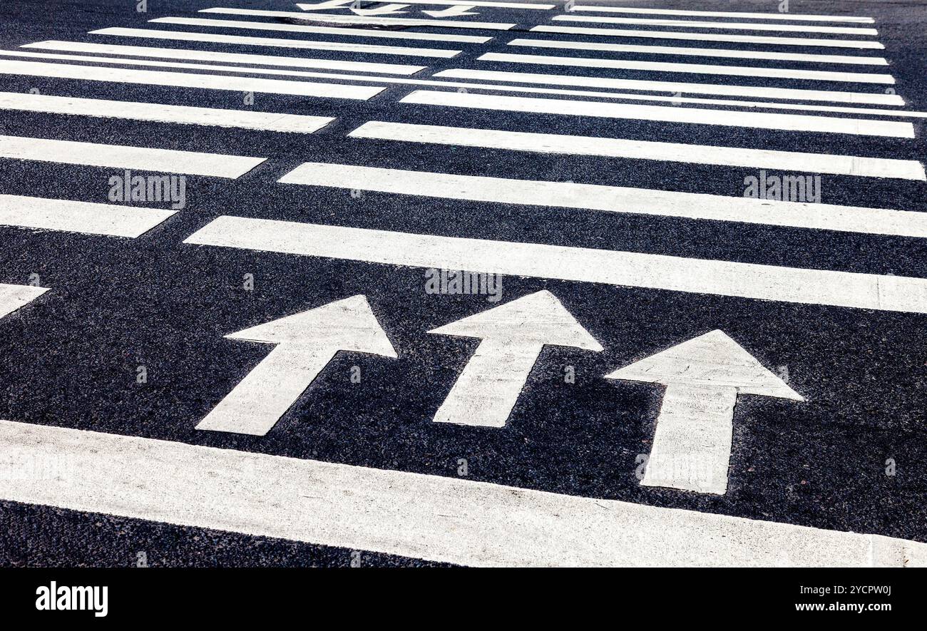 Zebra crossing with white marking lines and direction of motion on ...