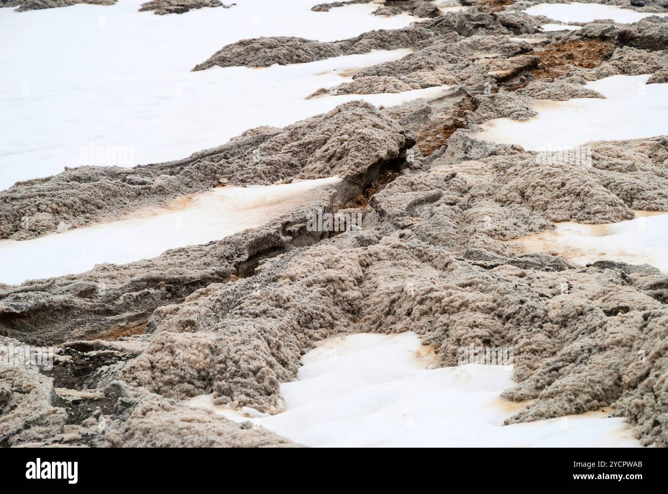 Unique mixture of melting snow and water moving Stock Photo - Alamy