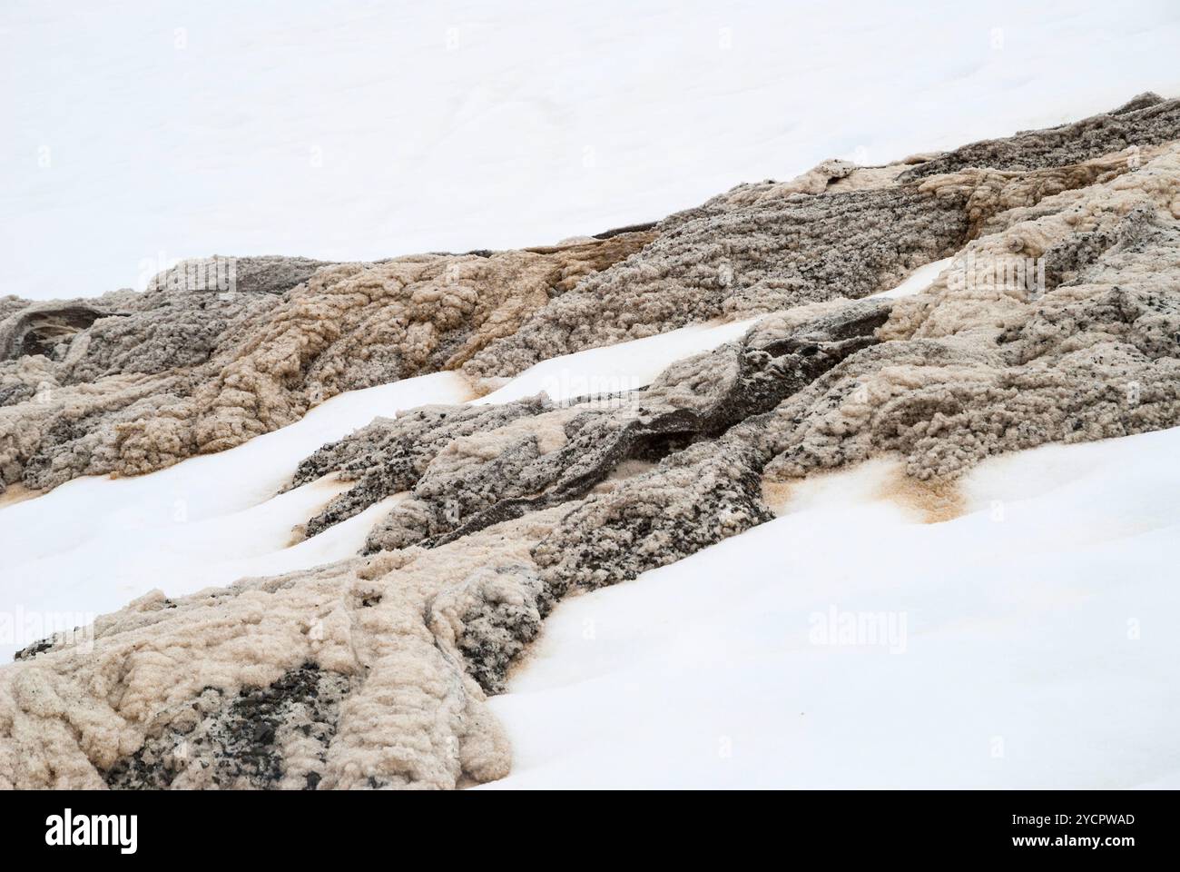 Unique mixture of melting snow and water Stock Photo - Alamy