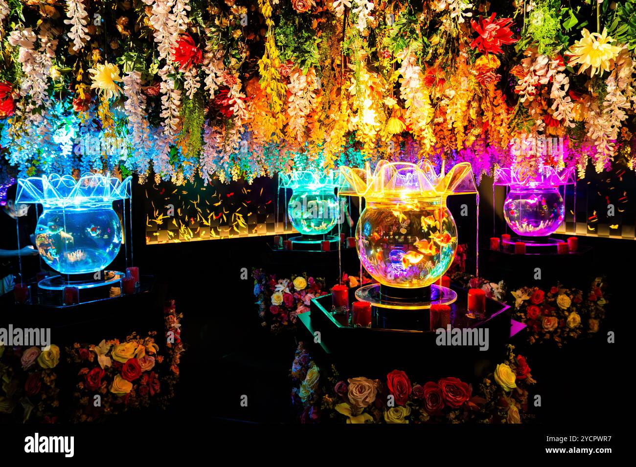 Art Aquarium museum in Ginza, Chuo City, Tokyo, Japan Stock Photo - Alamy