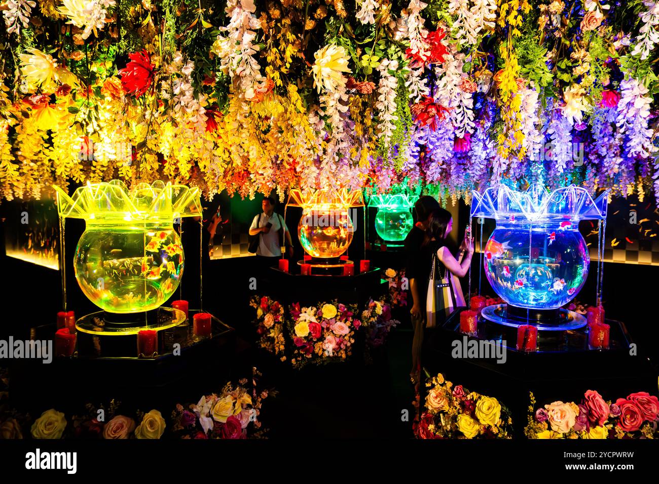 Art Aquarium museum in Ginza, Chuo City, Tokyo, Japan Stock Photo - Alamy