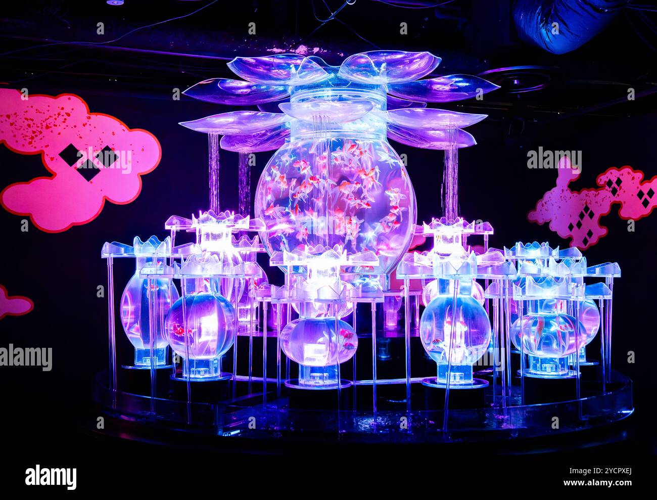Art Aquarium museum in Ginza, Chuo City, Tokyo, Japan Stock Photo - Alamy