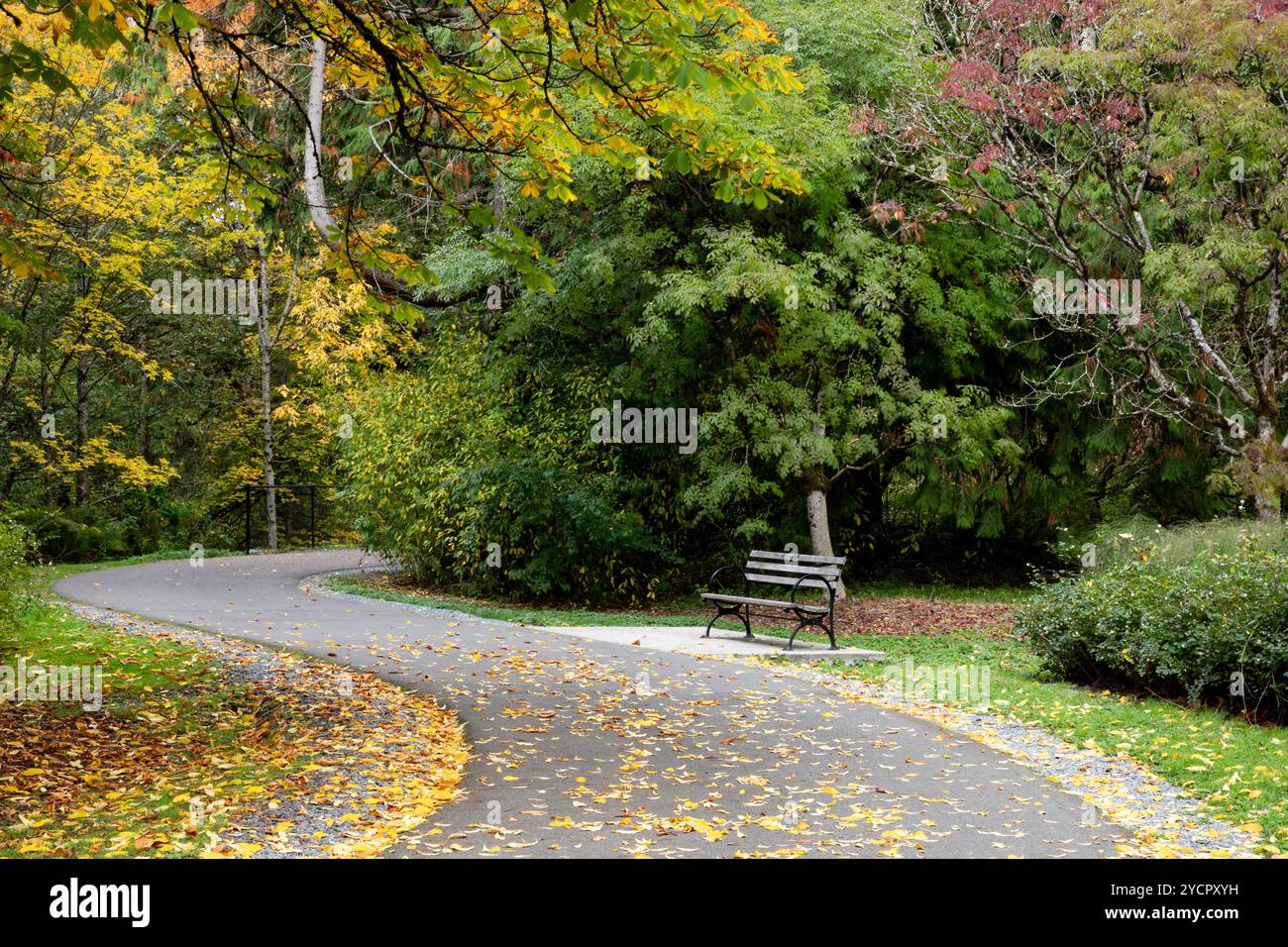 Seattle public school hi-res stock photography and images - Alamy