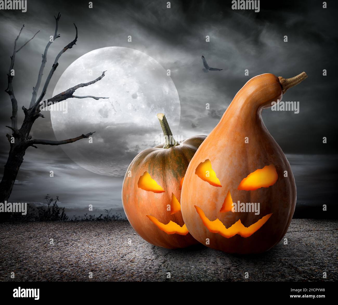 Angry crow hi-res stock photography and images - Alamy