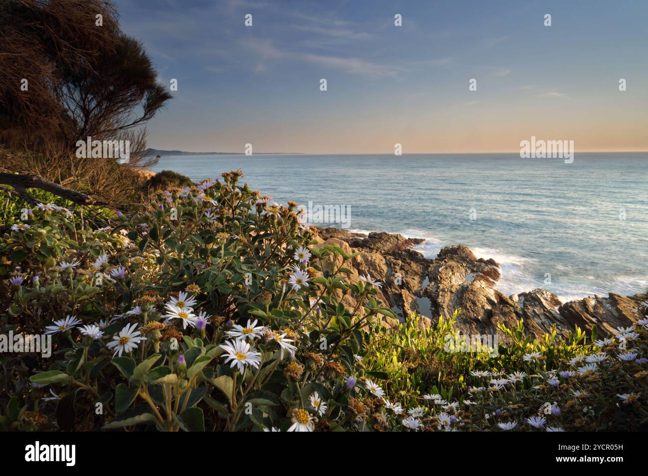 Bermagui australia hi-res stock photography and images - Alamy