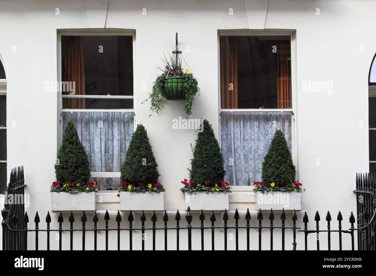 Windows plants hi-res stock photography and images - Alamy