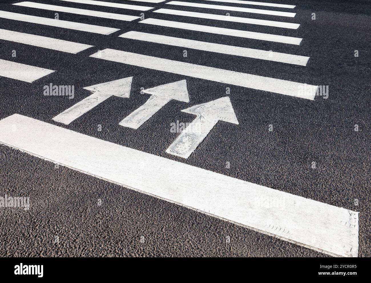 Zebra crossing with white marking lines and direction of motion on ...