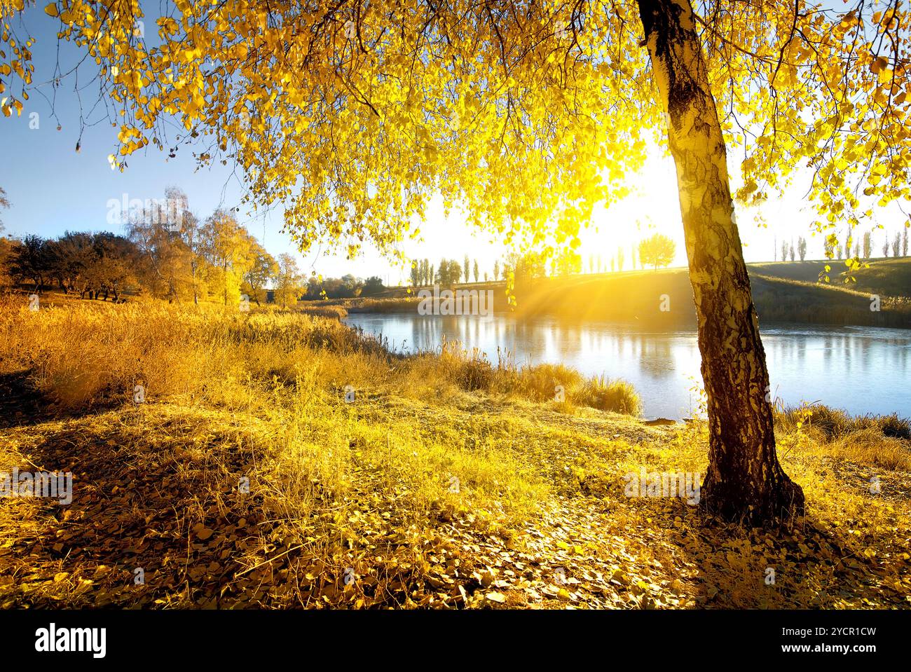 Bright autumn at sunrise Stock Photo - Alamy
