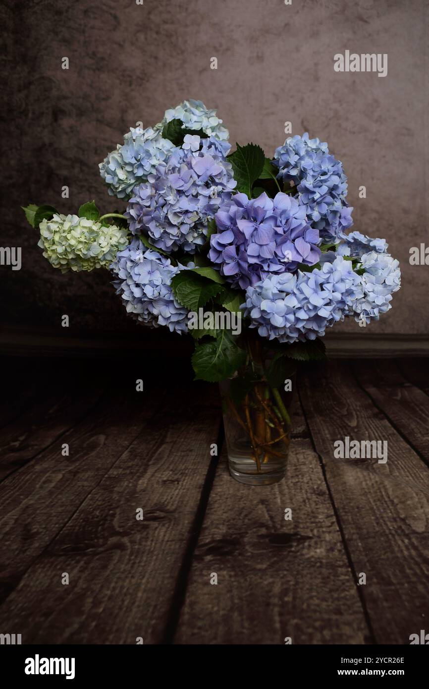 hydrangeas from the garden in spring, cut and placed into a glass vase ...