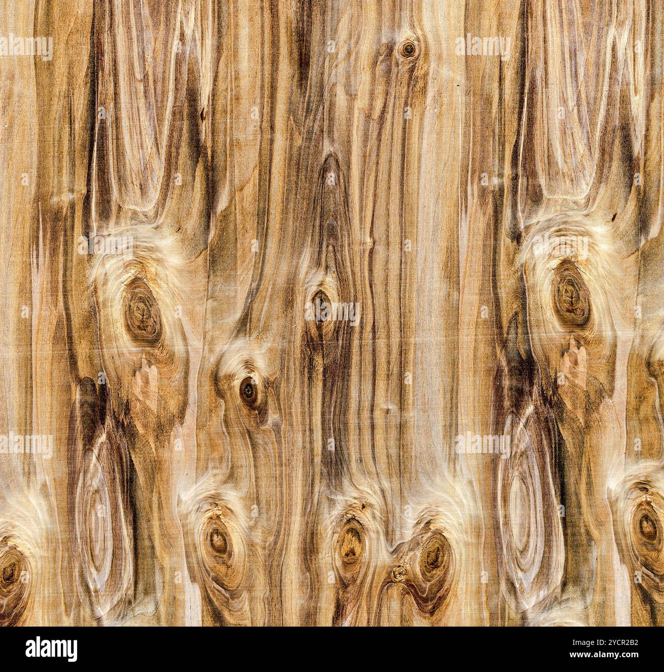 Yellow wood texture with natural patterns Stock Photo - Alamy