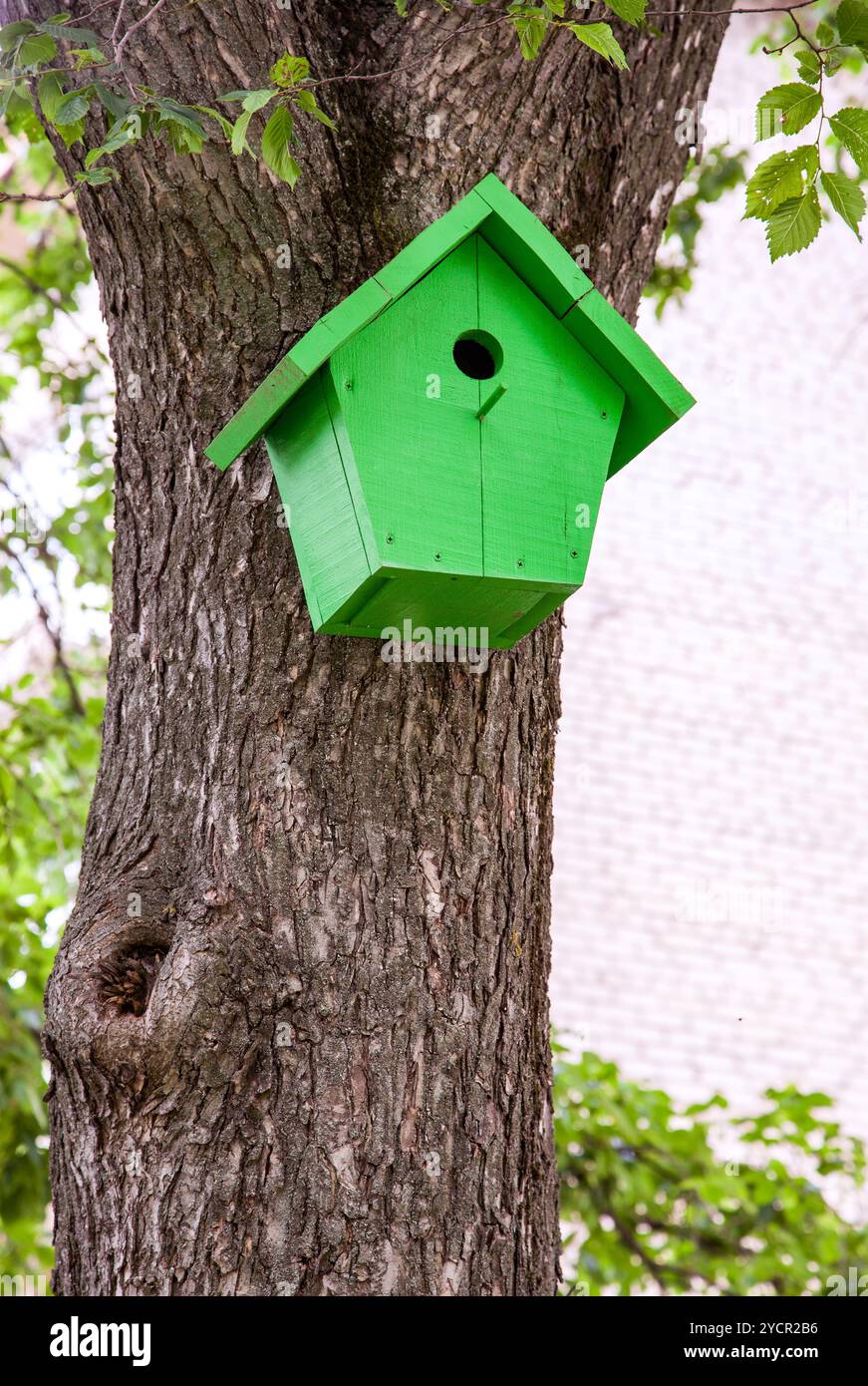 Birdhouse hanging from tree hi-res stock photography and images - Alamy