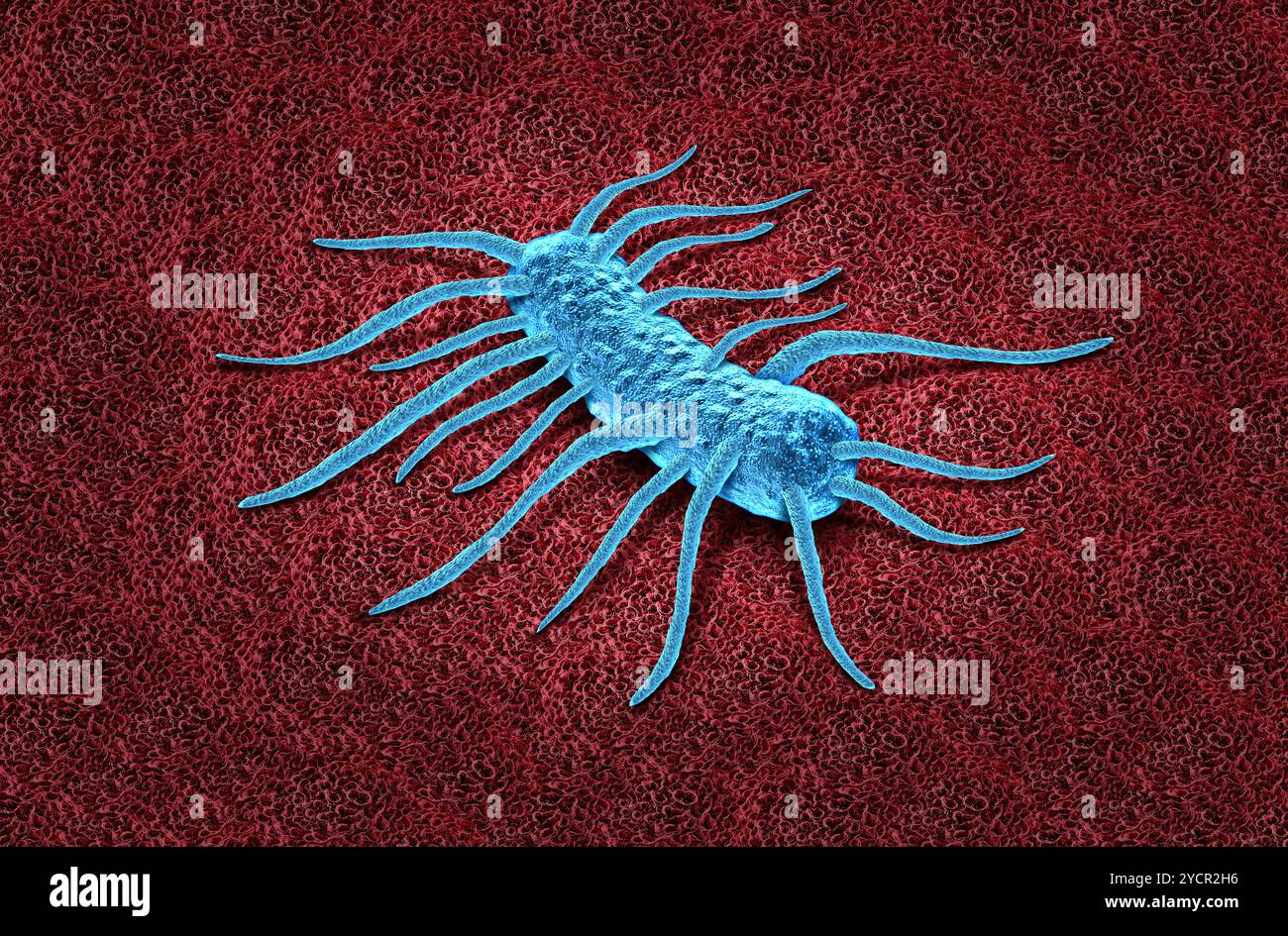 Liseria Bacteria Hi res Stock Photography And Images Alamy liseria-bacteria-hi-res-stock-photography-and-images-alamy