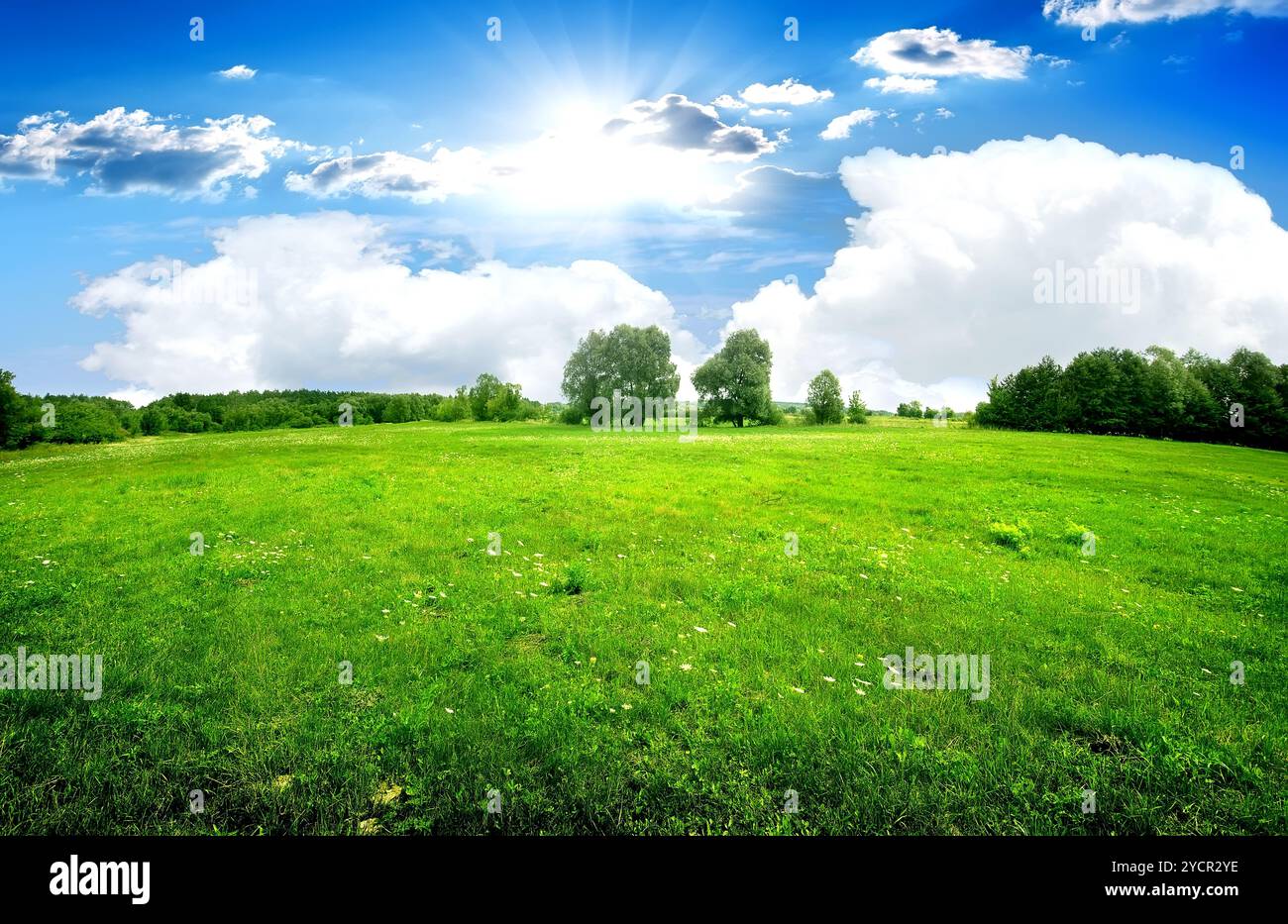 Beautiful scene land trees hi-res stock photography and images - Alamy