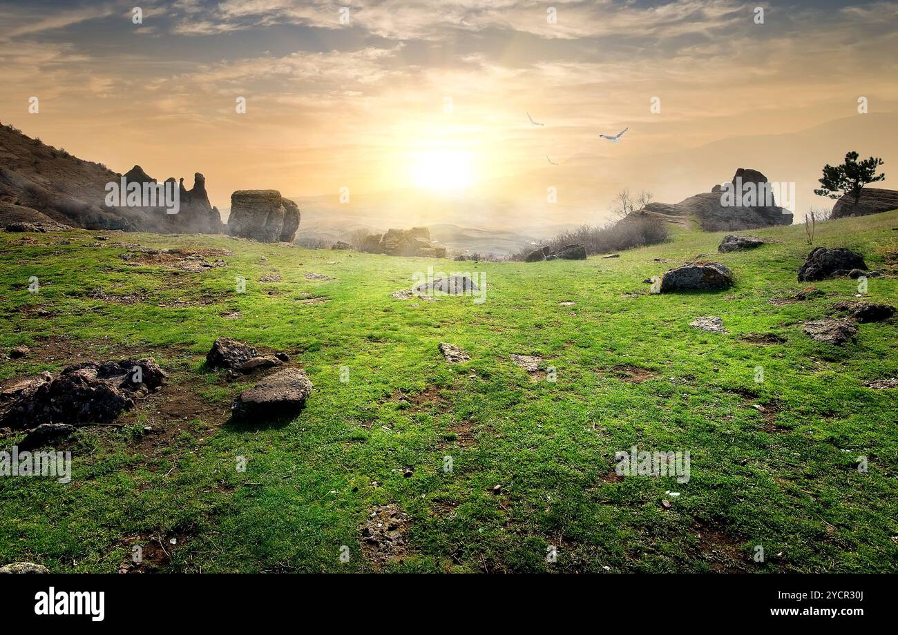 Meadow in valley Stock Photo - Alamy