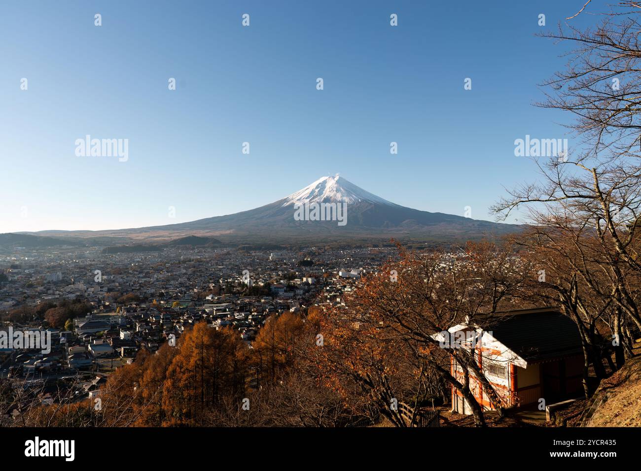 Panoramic View of Mount Fuji with Autumn Trees and Traditional Shrine ...