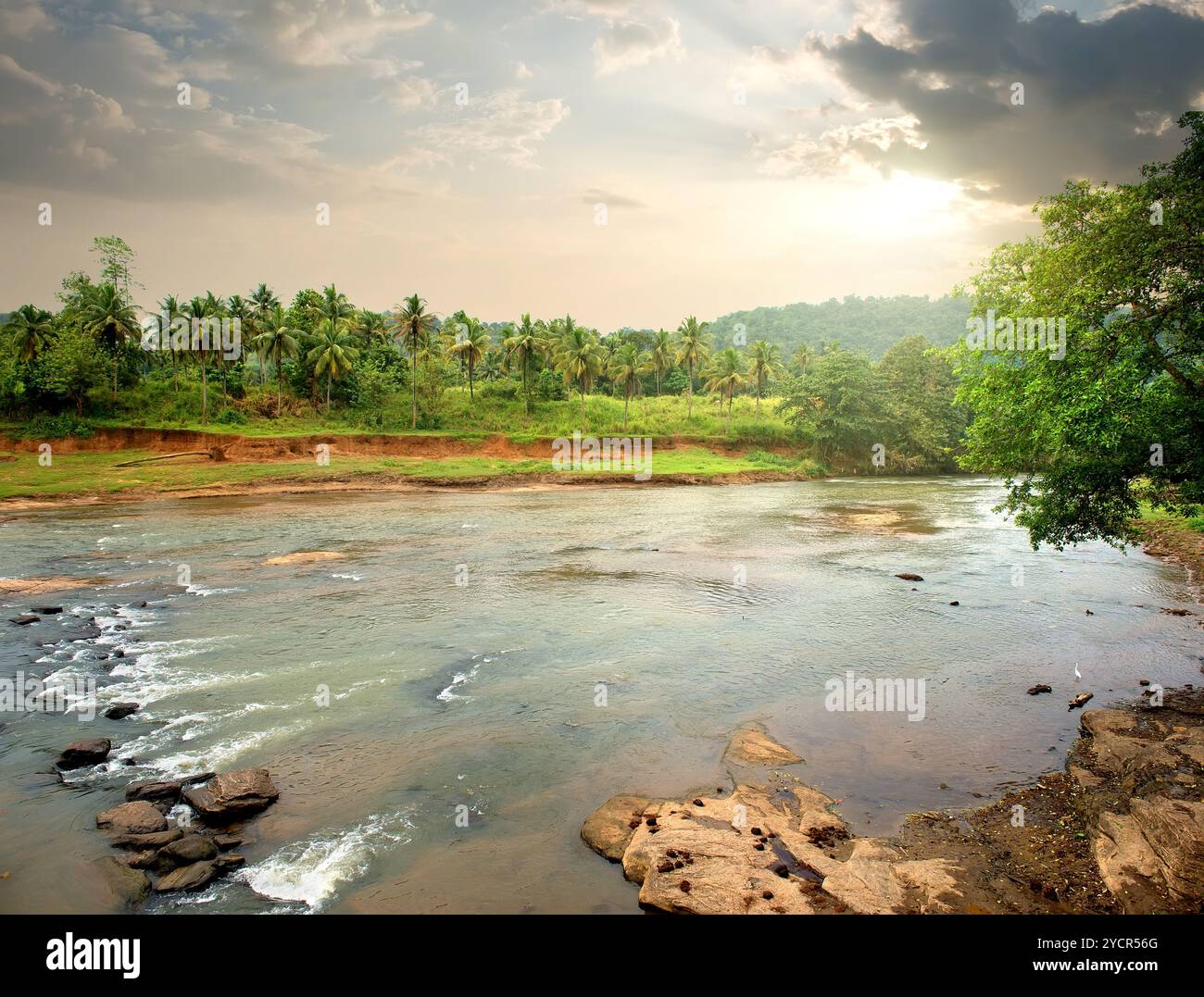 River in jungle Stock Photo - Alamy