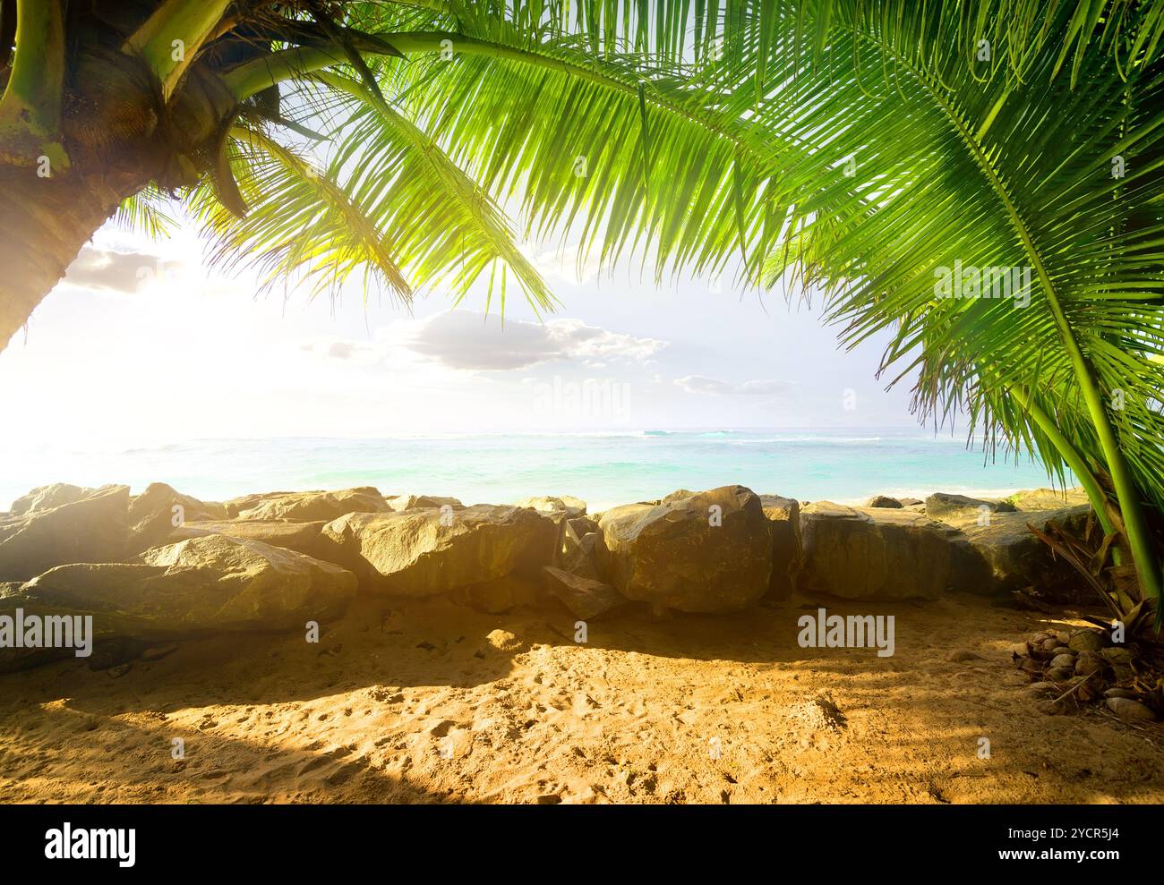 Tropic view hi-res stock photography and images - Alamy