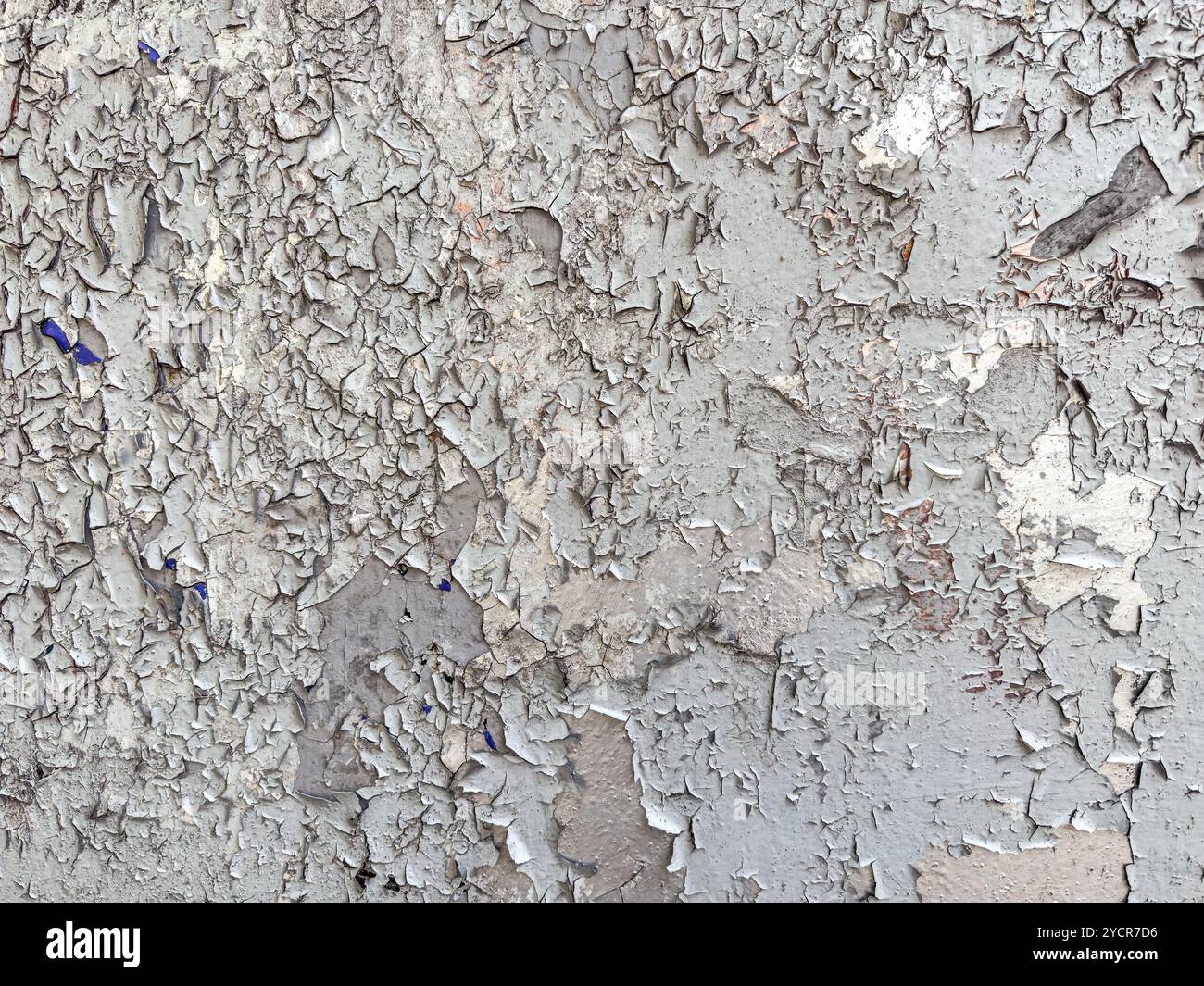 grey paint peeling off wall. weathered painted metal surface with ...