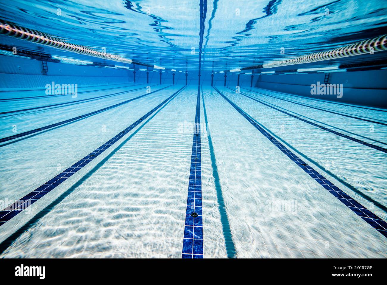 Swimming pool swimmer training competition hi-res stock photography and ...