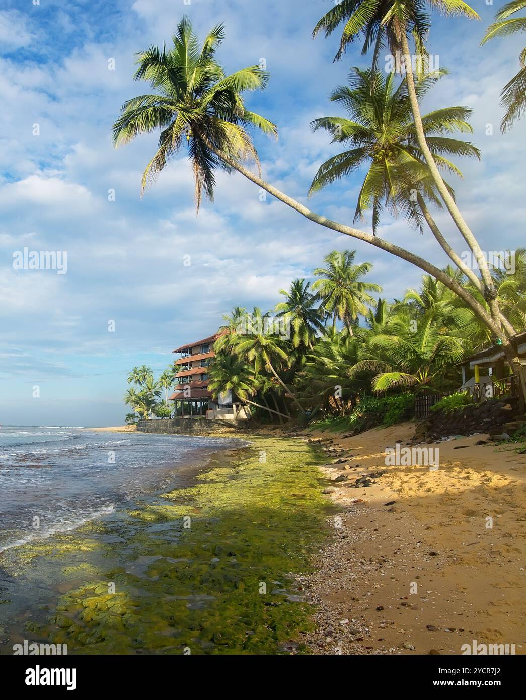 Shadows on the beach Stock Photo - Alamy
