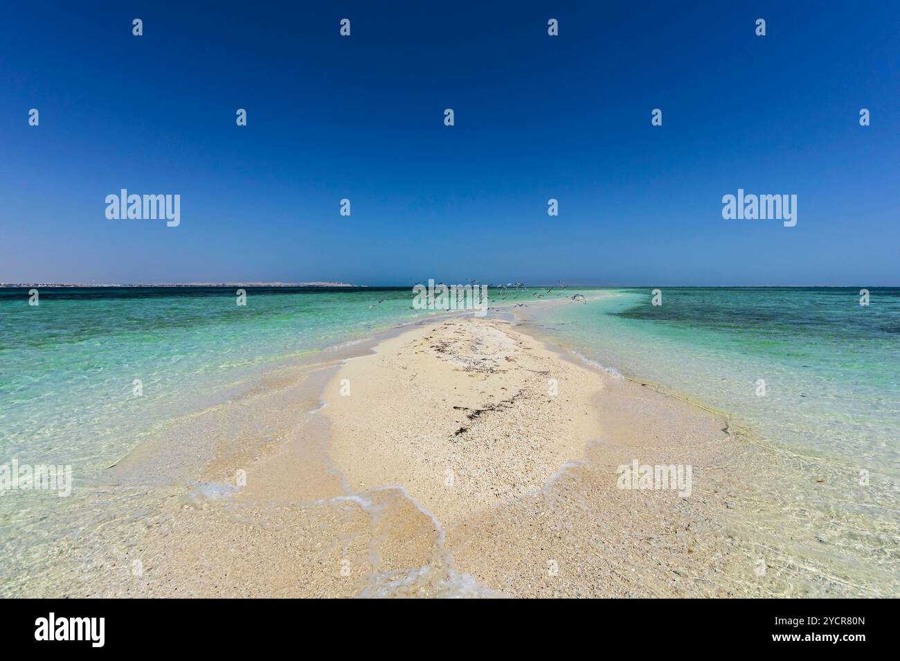Sandbank near Hurghada, Egypt Stock Photo - Alamy