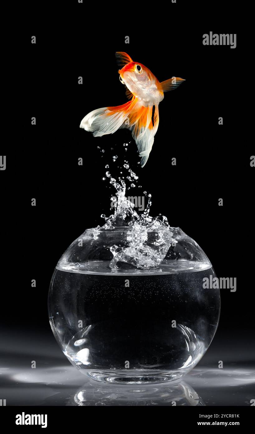 Action jump leap hi-res stock photography and images - Alamy