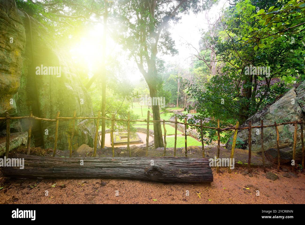 Beautiful park on Sigiriya Stock Photo - Alamy