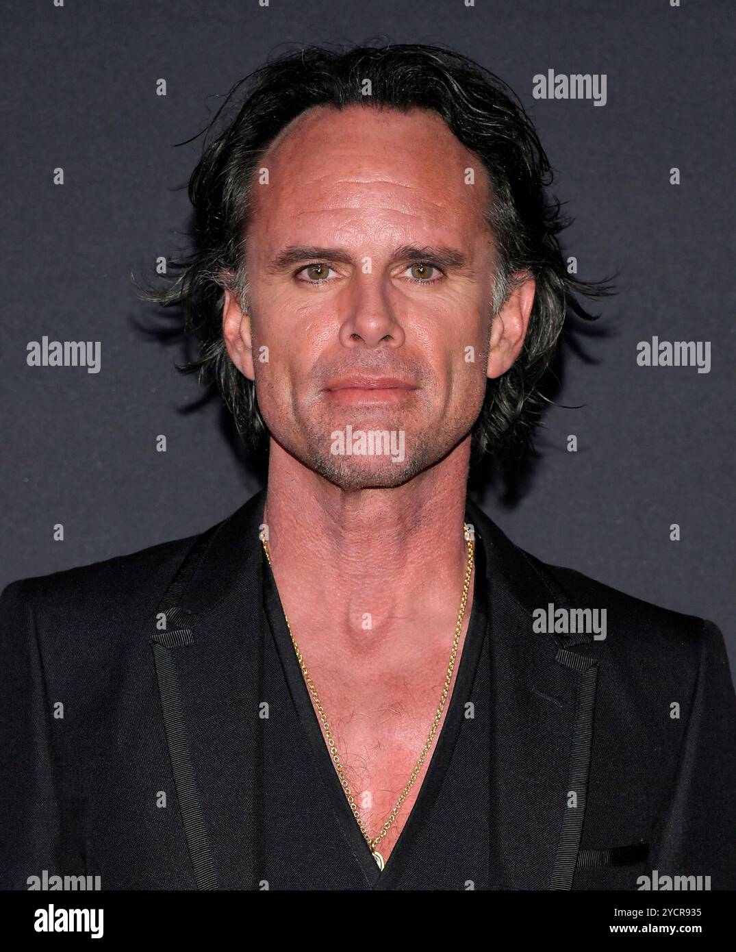Walton Goggins attends the 16th annual Museum of Modern Art Film ...