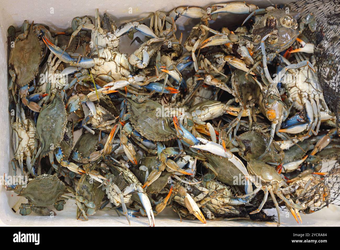 Blue crabs fish market hi-res stock photography and images - Alamy